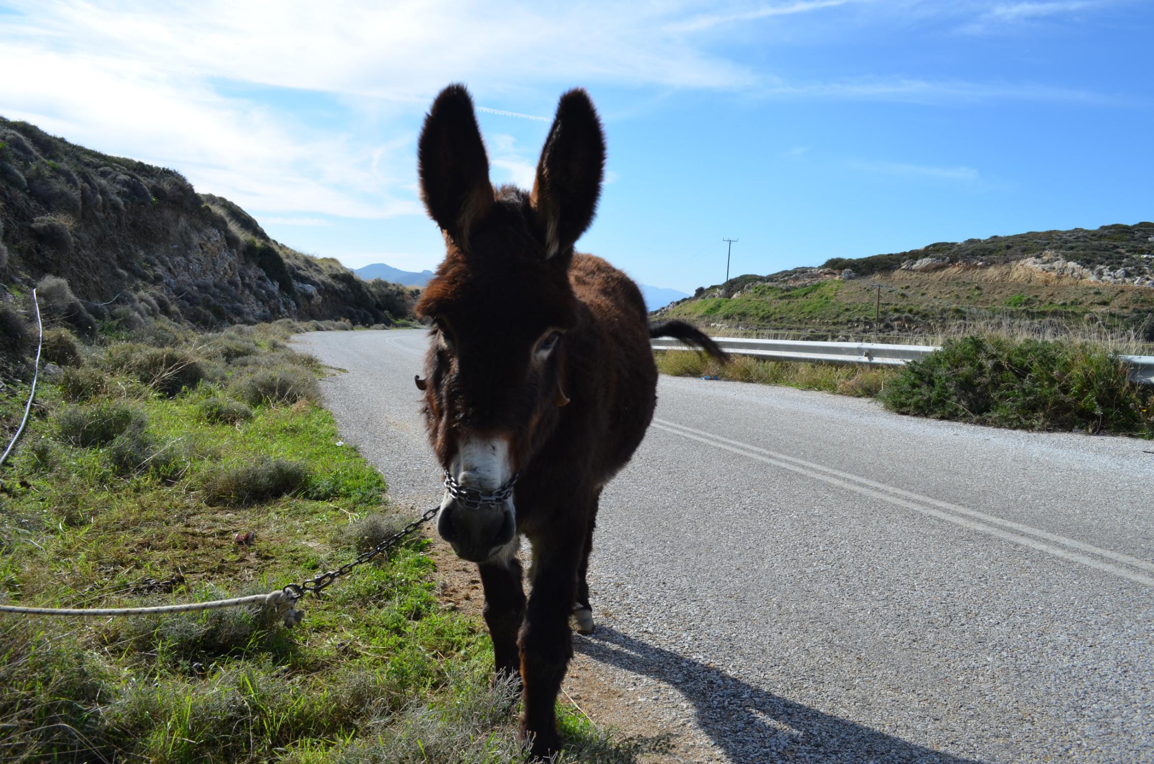 Gallery - Villa Marandi Suites