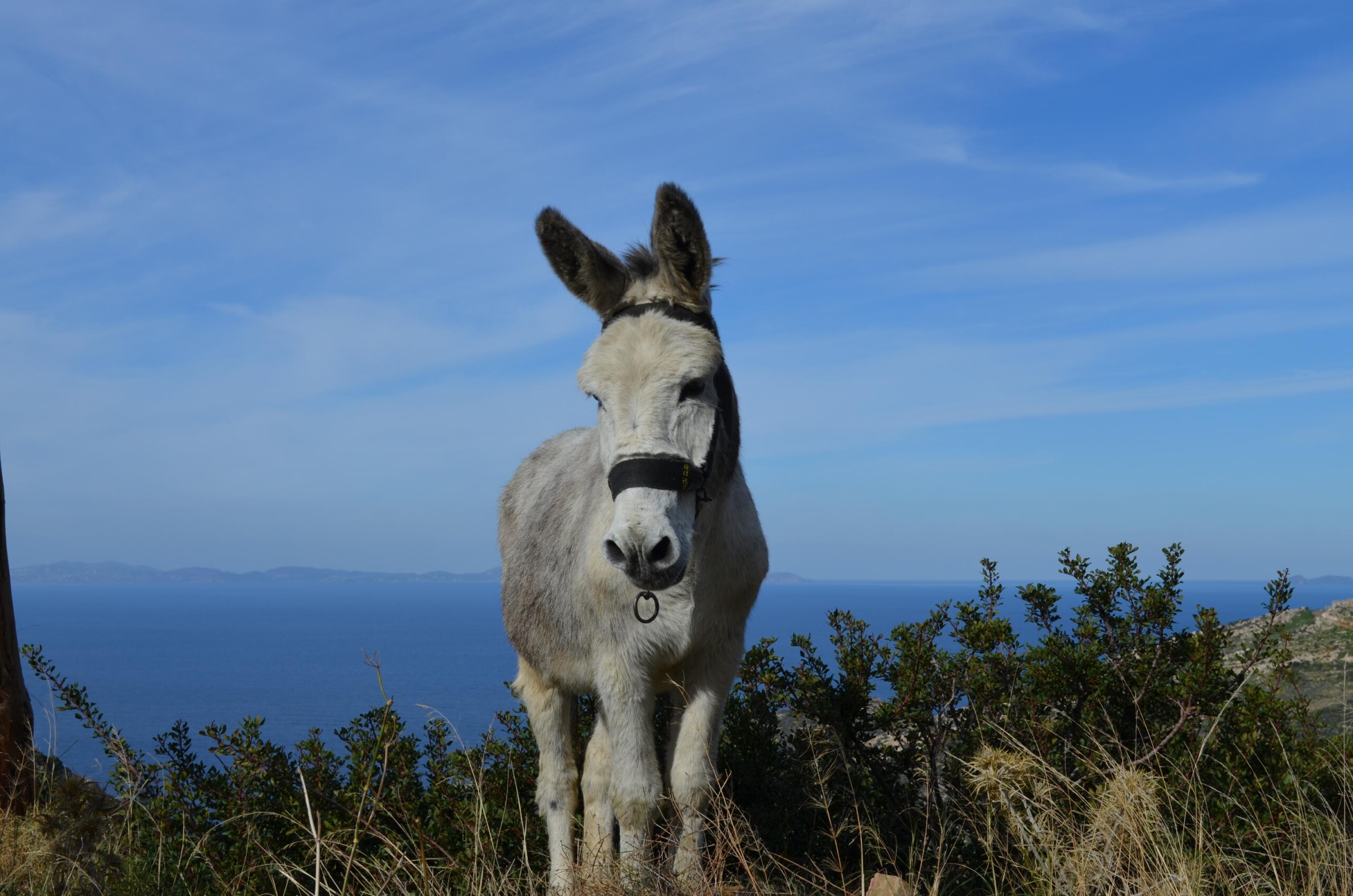 Gallery - Villa Marandi Suites