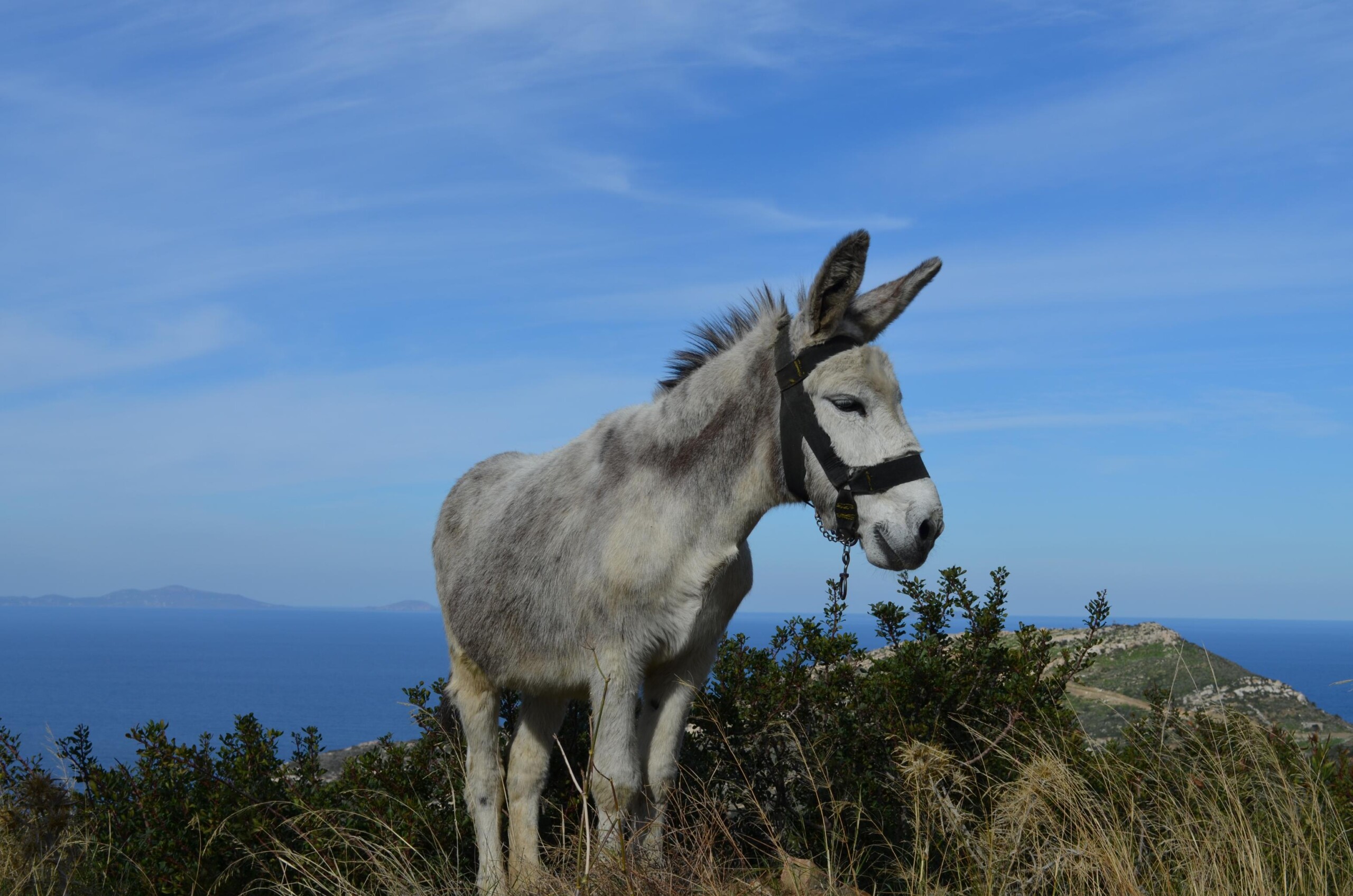 Gallery - Villa Marandi Suites