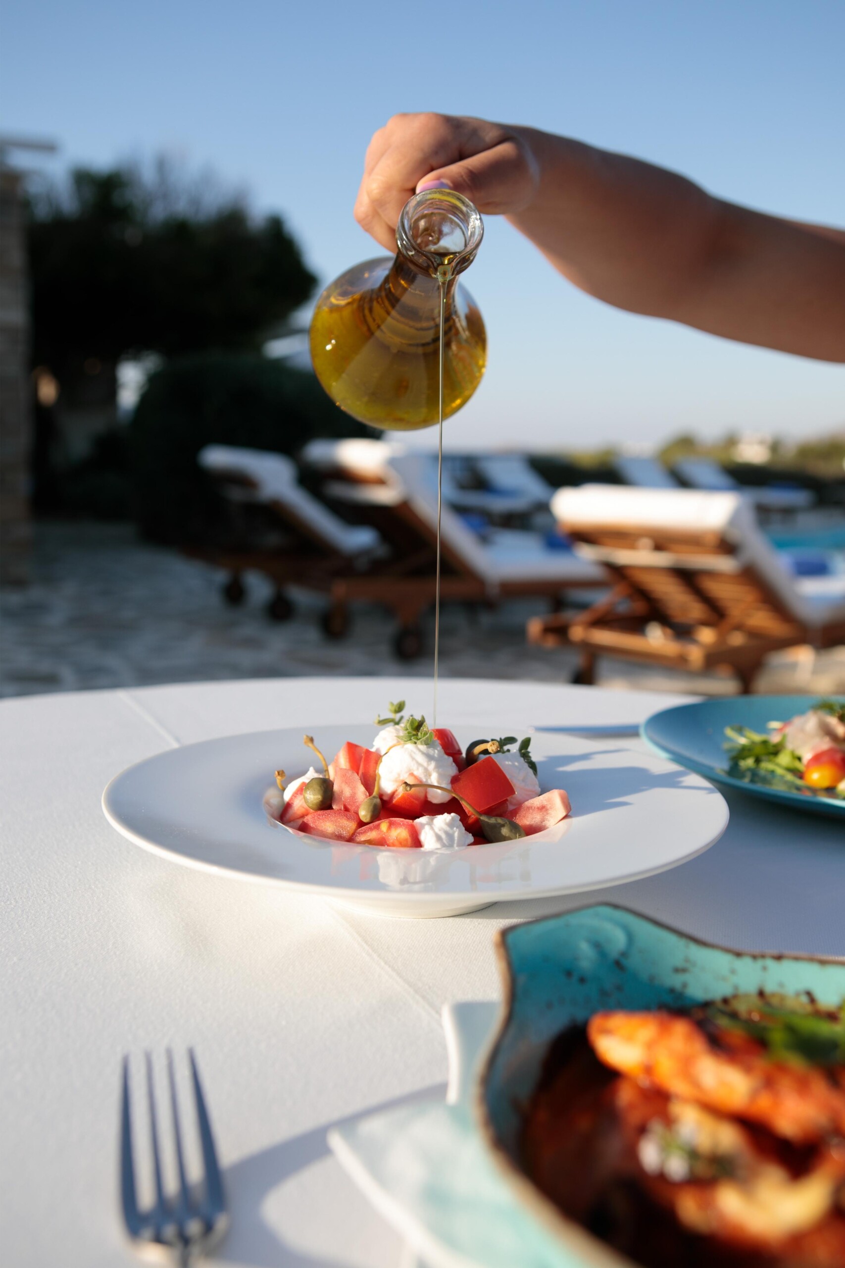 Naxian Terra - Best restaurant in Stelida, Naxos - Villa Marandi